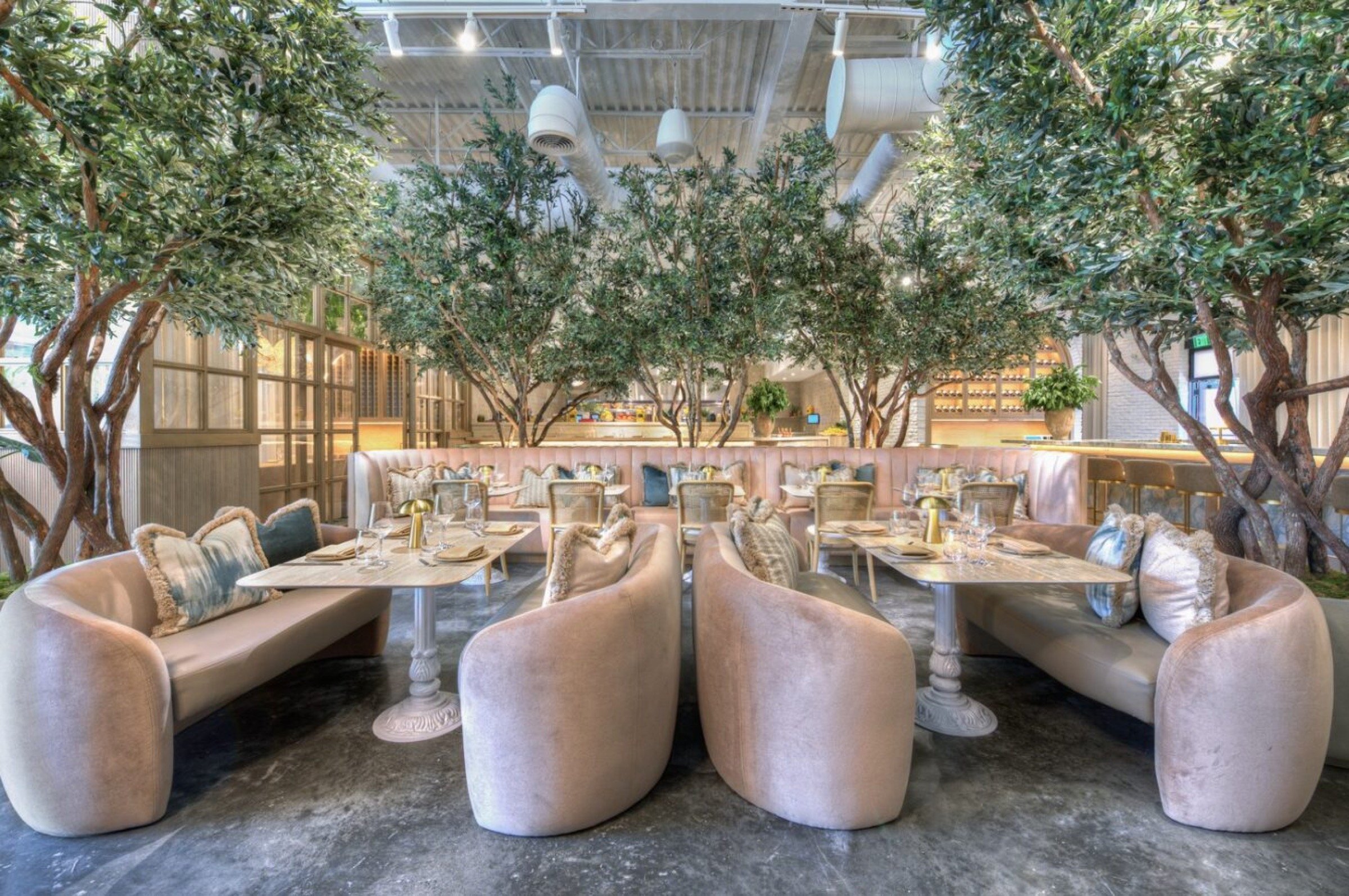 Embark on a Culinary Journey: Discovering Vibrant Flavors and ...
